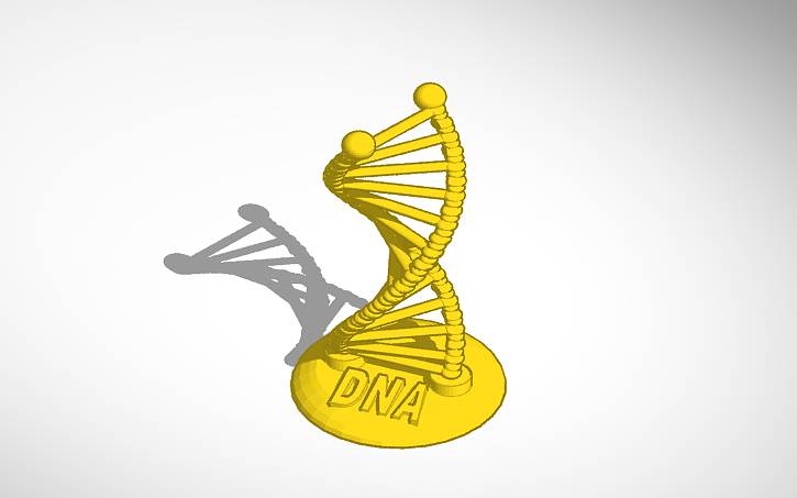 3D design DNA by LukaMada | Tinkercad