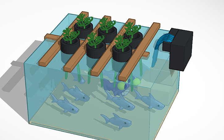 3D design Copy of Aquarium - Tinkercad