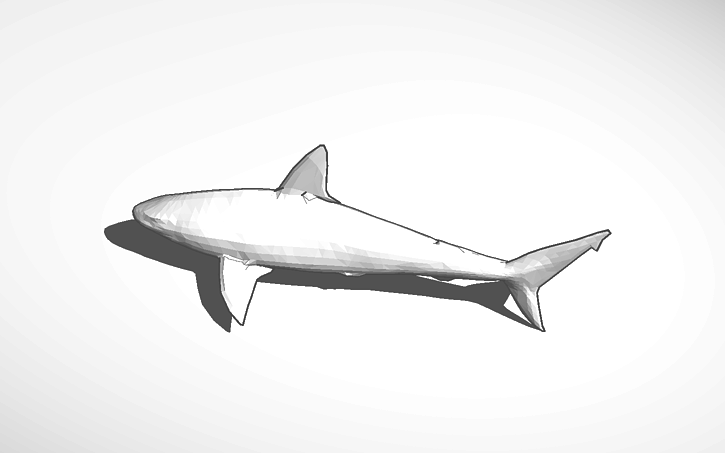 3D design Shark - Tinkercad
