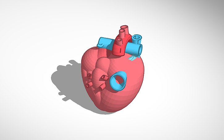 3D design Heart - Tinkercad