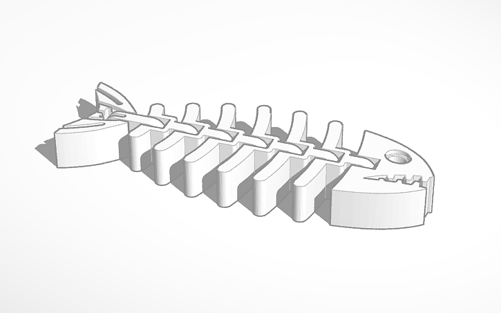 3D design Fish Skeleton flexi - Tinkercad