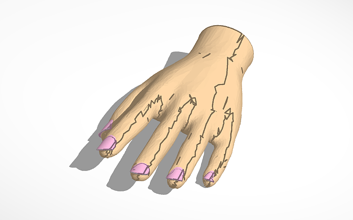 3D design Hand - Tinkercad