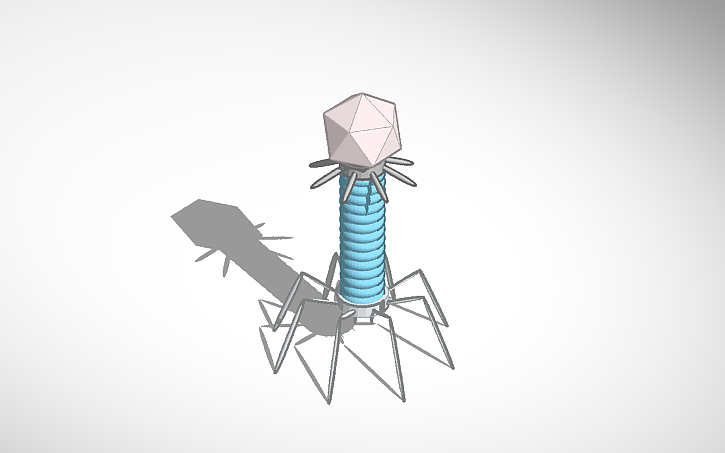 3D design virus - Tinkercad