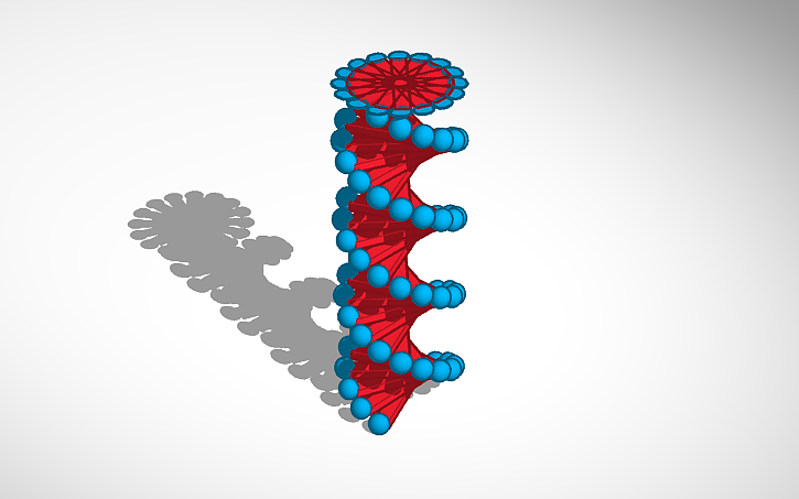 3D design DNA | Tinkercad