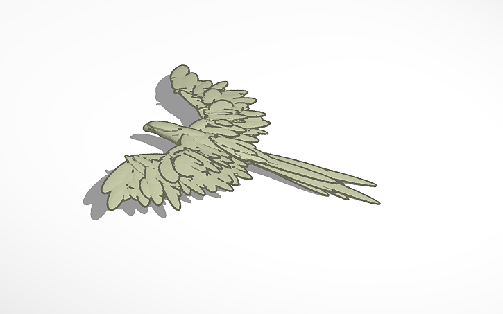 3D design parrot macao - Tinkercad