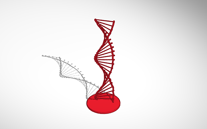 3D design Double Helix | Tinkercad