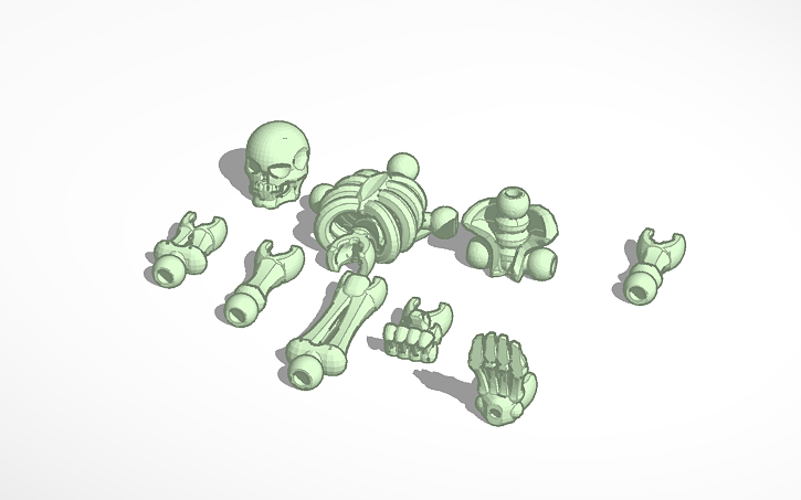 3D design Human Anatomy.... - Tinkercad