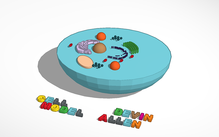 3D design Copy of Animal Cell | Tinkercad