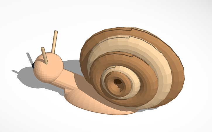 3D design snail - Tinkercad