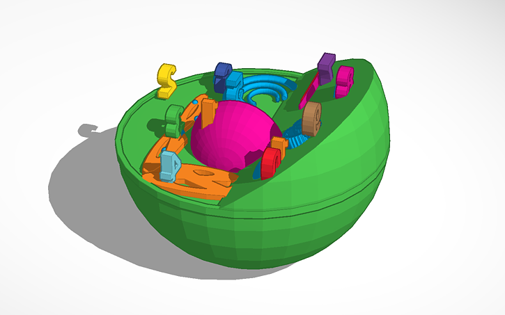 3D design Animal Cell - Tinkercad