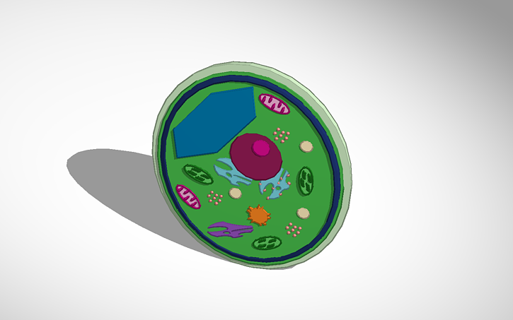 3D design Plant Cell - Tinkercad
