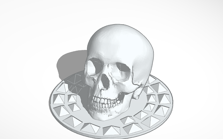 3D design teschio bello - Tinkercad