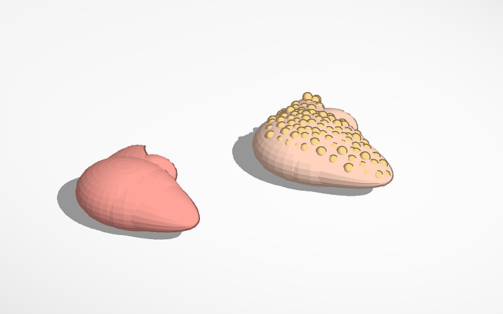 3D design Liver and sick liver - Tinkercad
