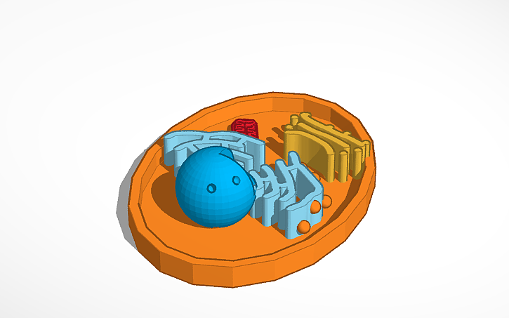 3D design animal cell - Tinkercad