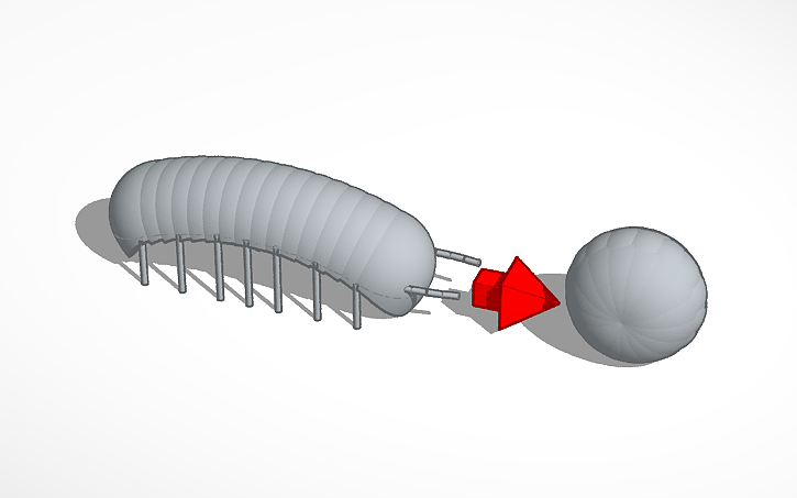 3D design roly poly - Tinkercad