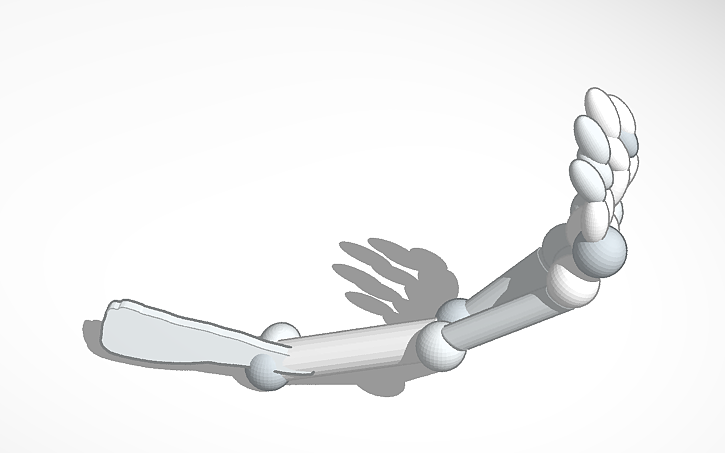 3D design Human Hand - Tinkercad
