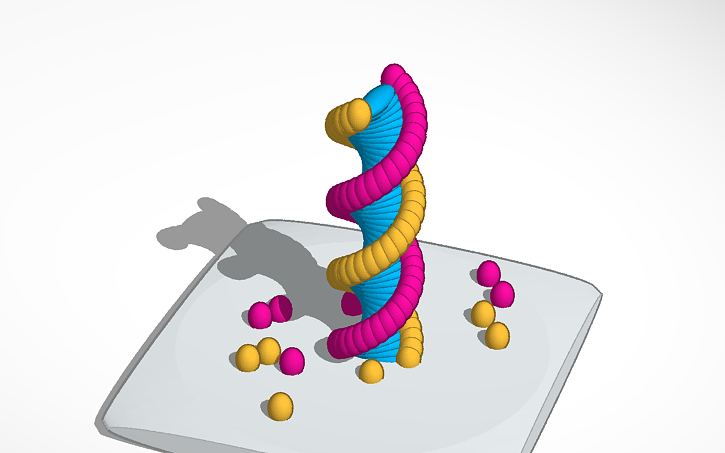 3D design DNA - Tinkercad