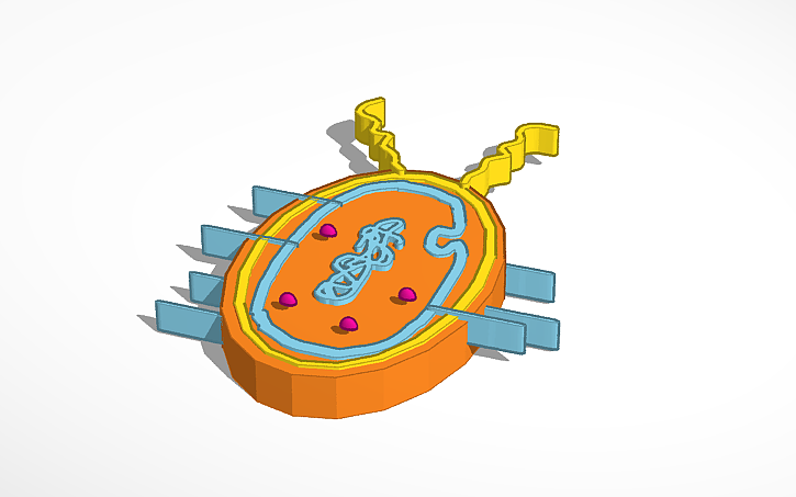 3D design BIO G8-BACTERIA - Tinkercad