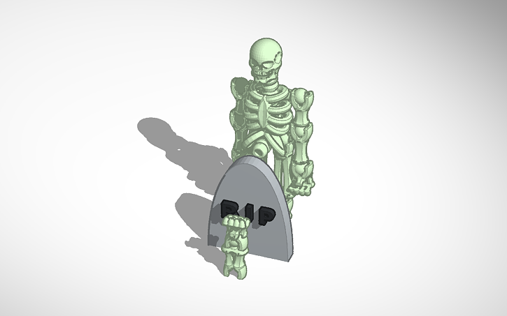 3D design SKELETON - Tinkercad