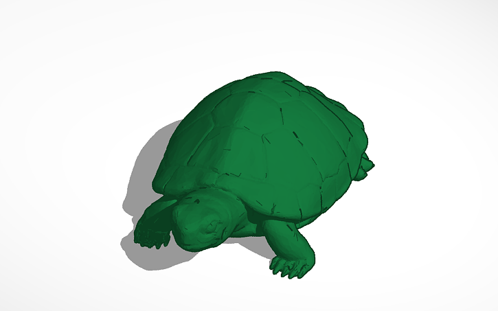 3D design turtle - Tinkercad