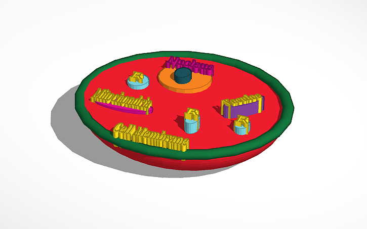 3D design Triniti's Animal Cell | Tinkercad