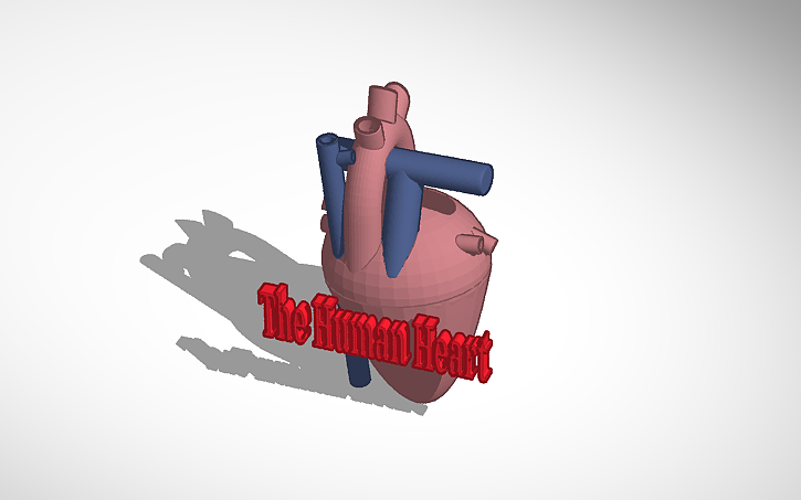 3D design Heart - Tinkercad