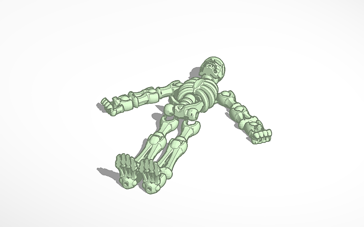 3D design Skeleton Bones - Tinkercad