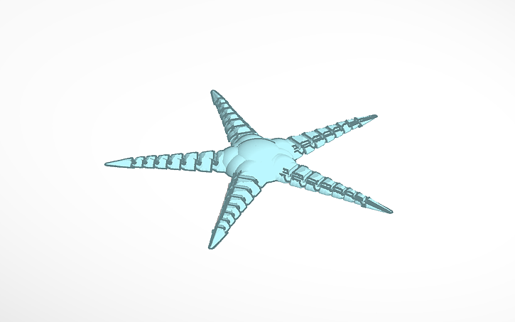 3D design Flexi Starfish - Tinkercad