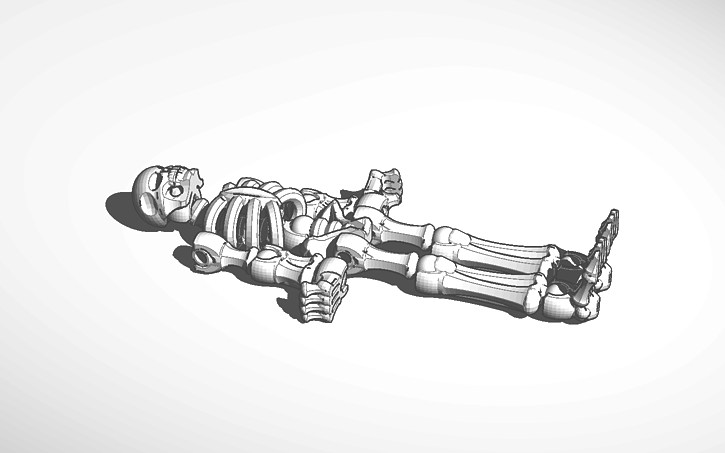 3D design asleep skeleton | Tinkercad