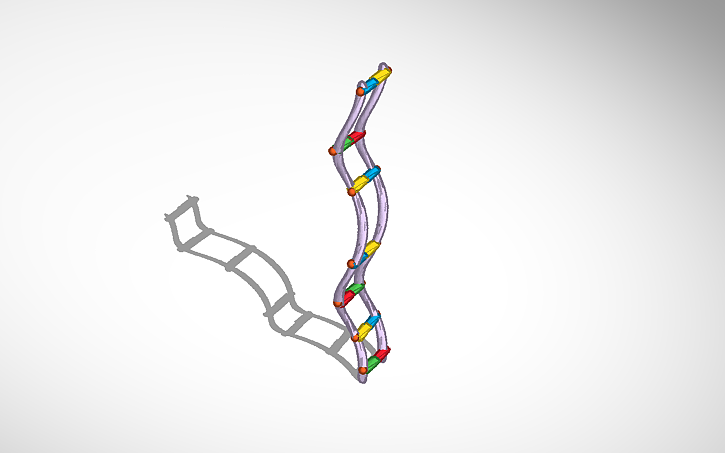 3D design DNA - Tinkercad