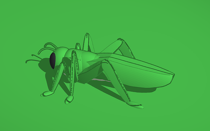 3D design Grasshopper - Tinkercad