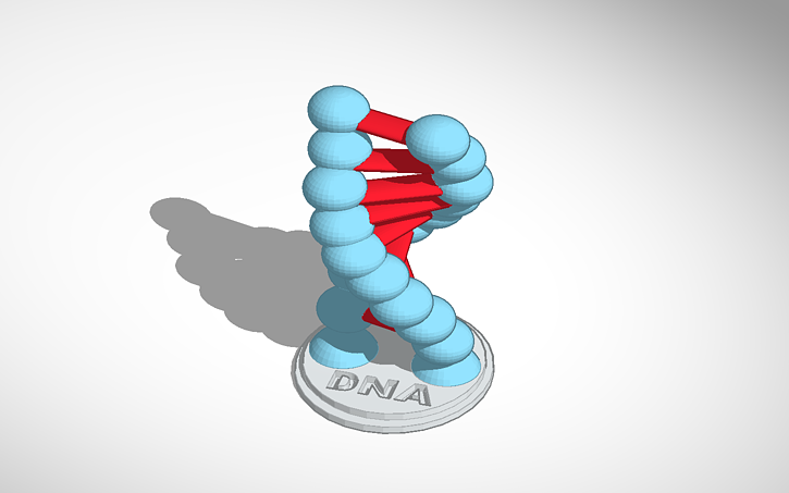 3D design DNA Structure - Tinkercad