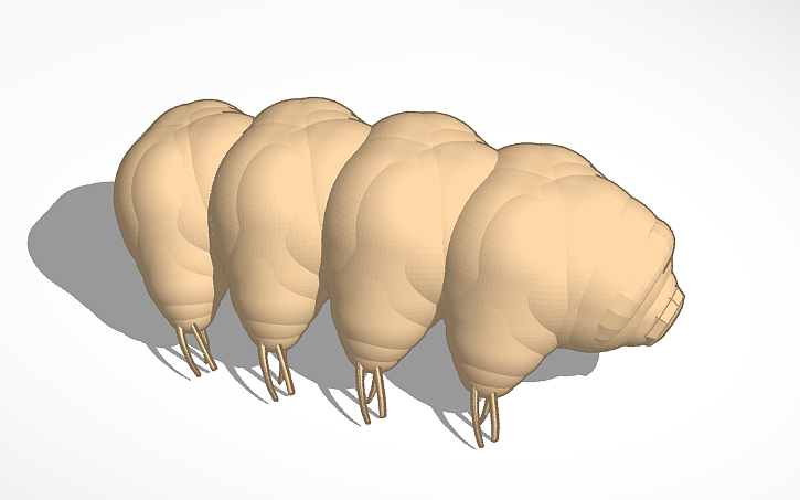 3D design Tardigrade - Tinkercad
