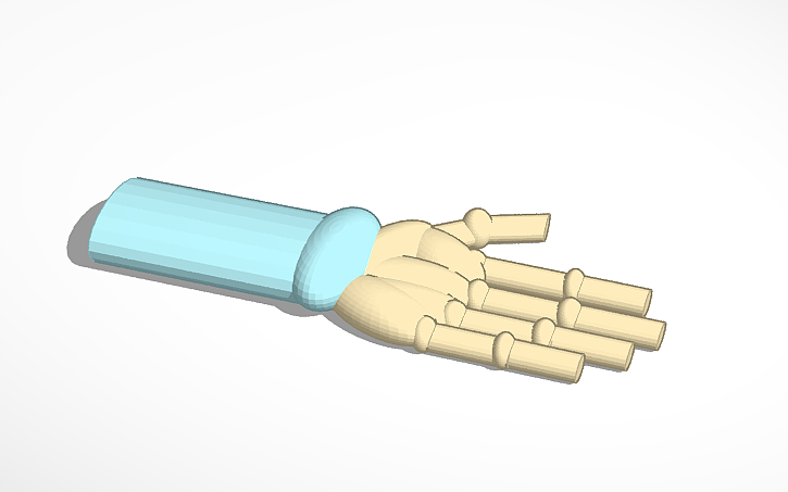 3D design Arm Model (left hand facing up) - Tinkercad