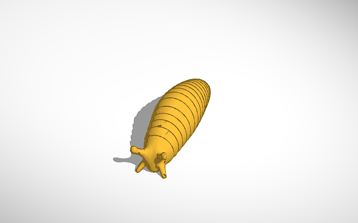 3D design slug - Tinkercad