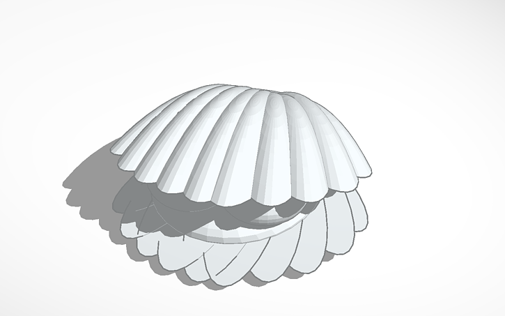 3D design oyster - Tinkercad