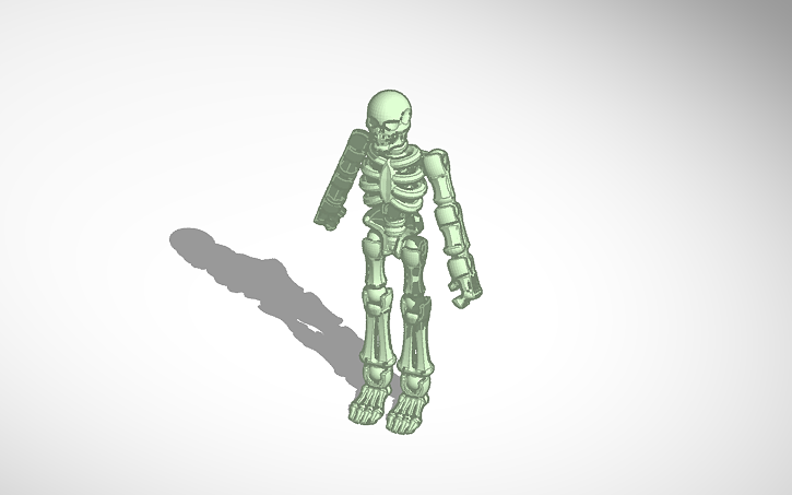 3D design skeleton | Tinkercad