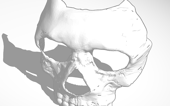 3D design MW Ghost mask - Tinkercad