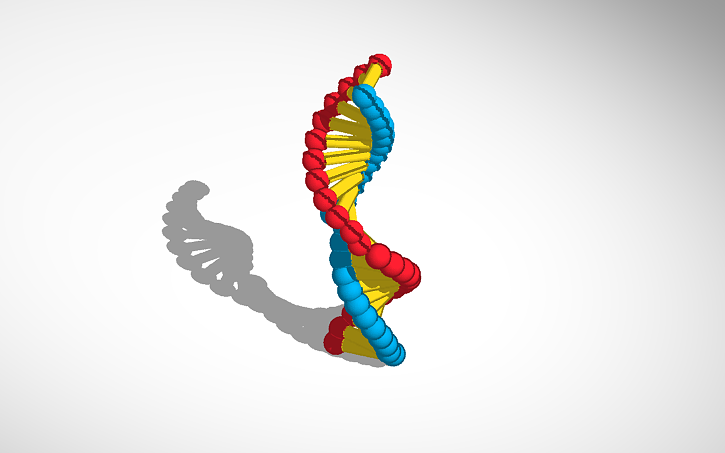 3D design DNA!!! - Tinkercad