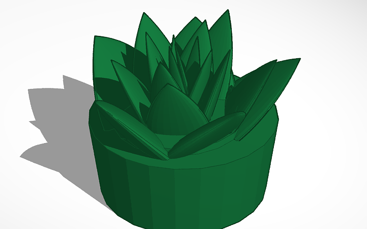 3D design Potted Succulent: Aloe - Tinkercad