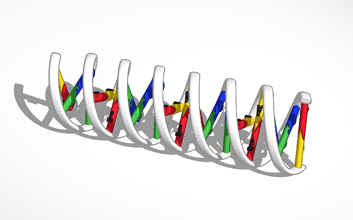 3D design DNA | Tinkercad