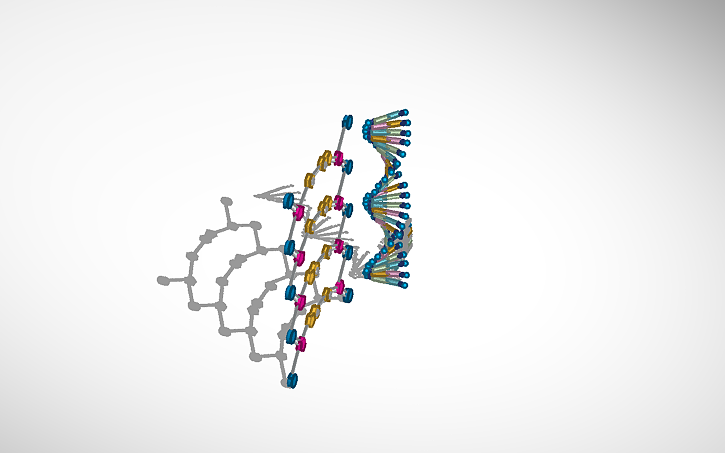 3D design DNA Structure (EV3) - Tinkercad