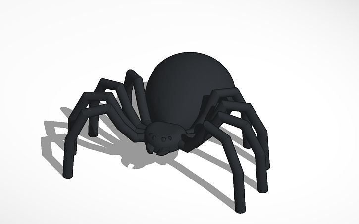3D design spider - Tinkercad