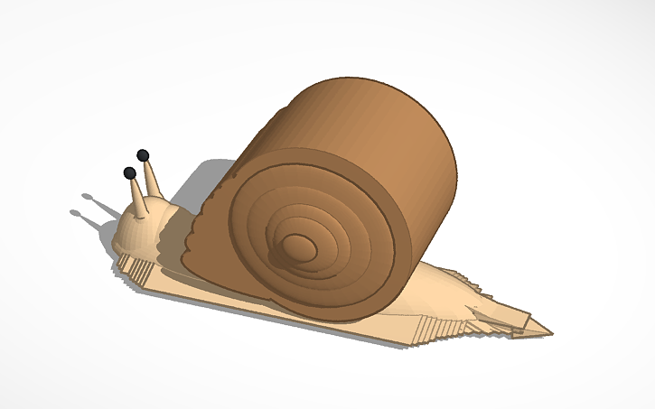 3D design Snail - Tinkercad
