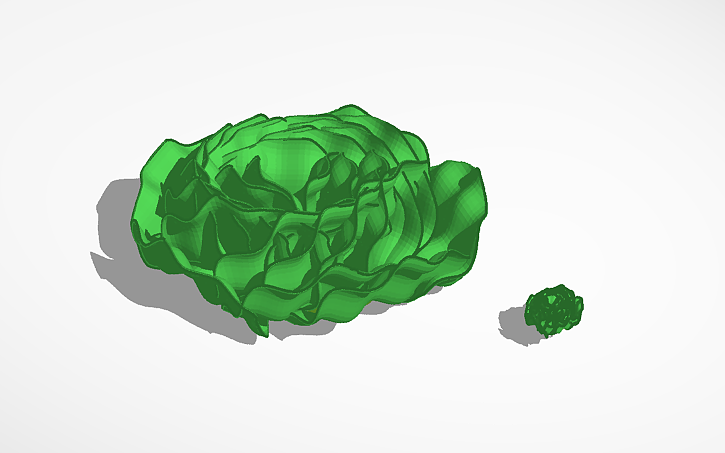 3D design Copy of lettuce - Tinkercad