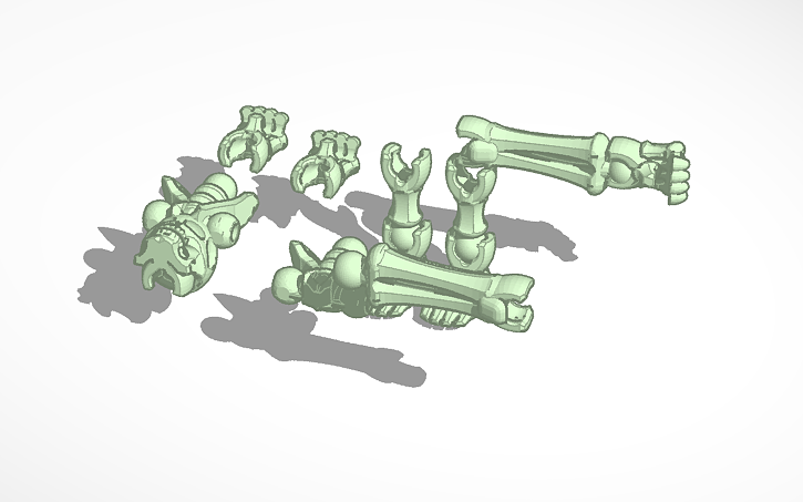 3D design bone man | Tinkercad