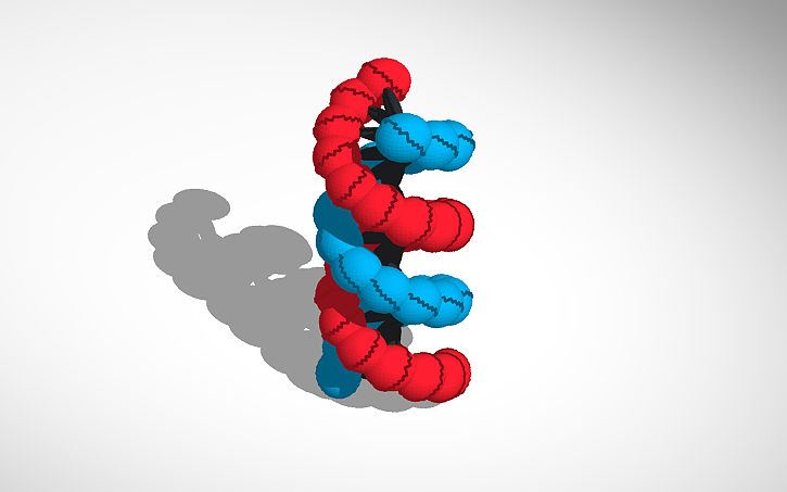 3D design EL ADN - Tinkercad