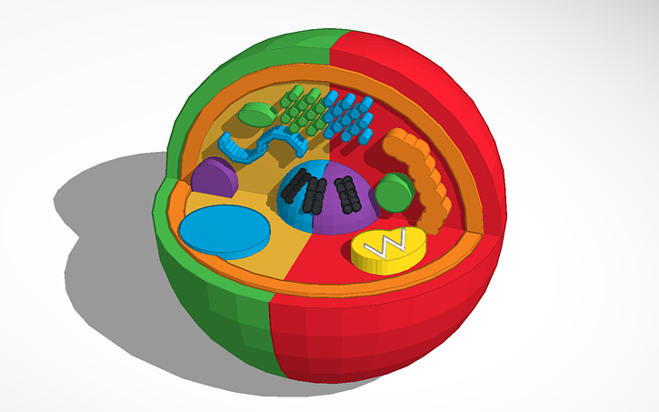3D design Cell project - Tinkercad