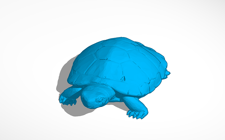 3D design Tiny Turtle - Tinkercad