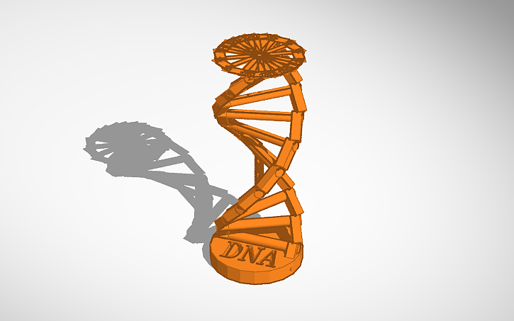 3D design Double Helix DNA - Tinkercad